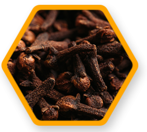 Products Overview - Tiger Balm SG